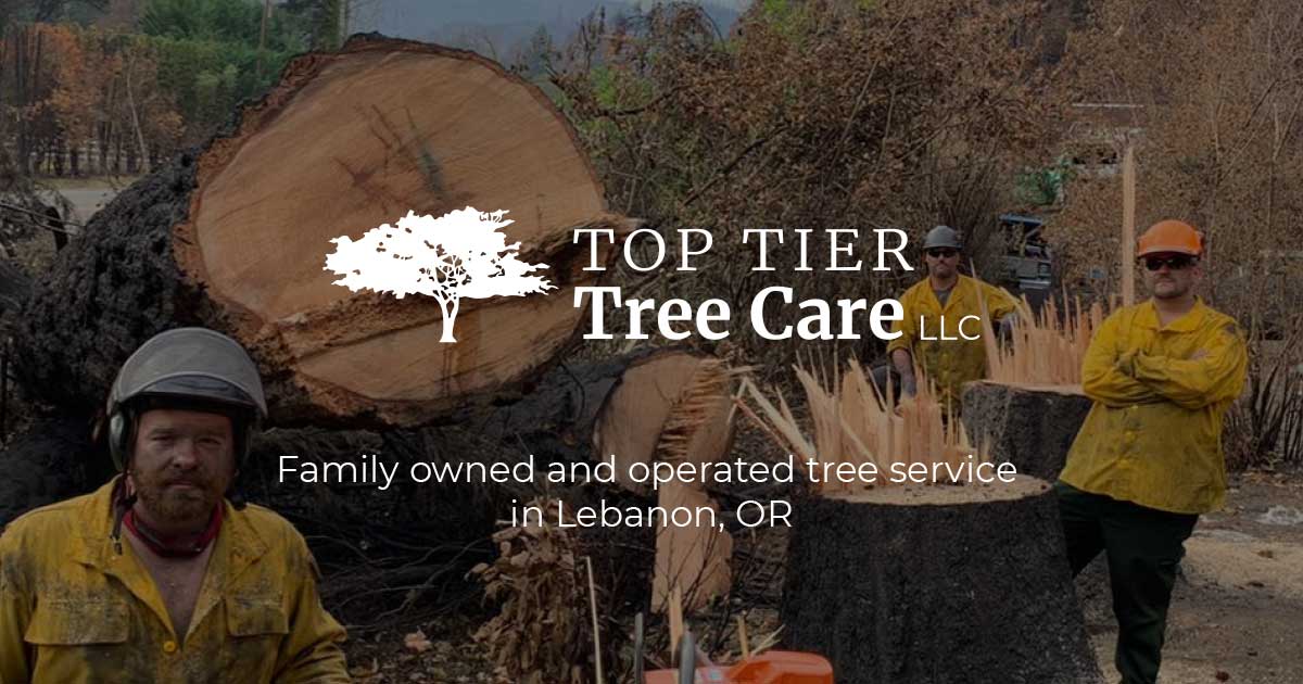 Top Tier Tree Care | Trimming/Removals | Willamette Valley, OR